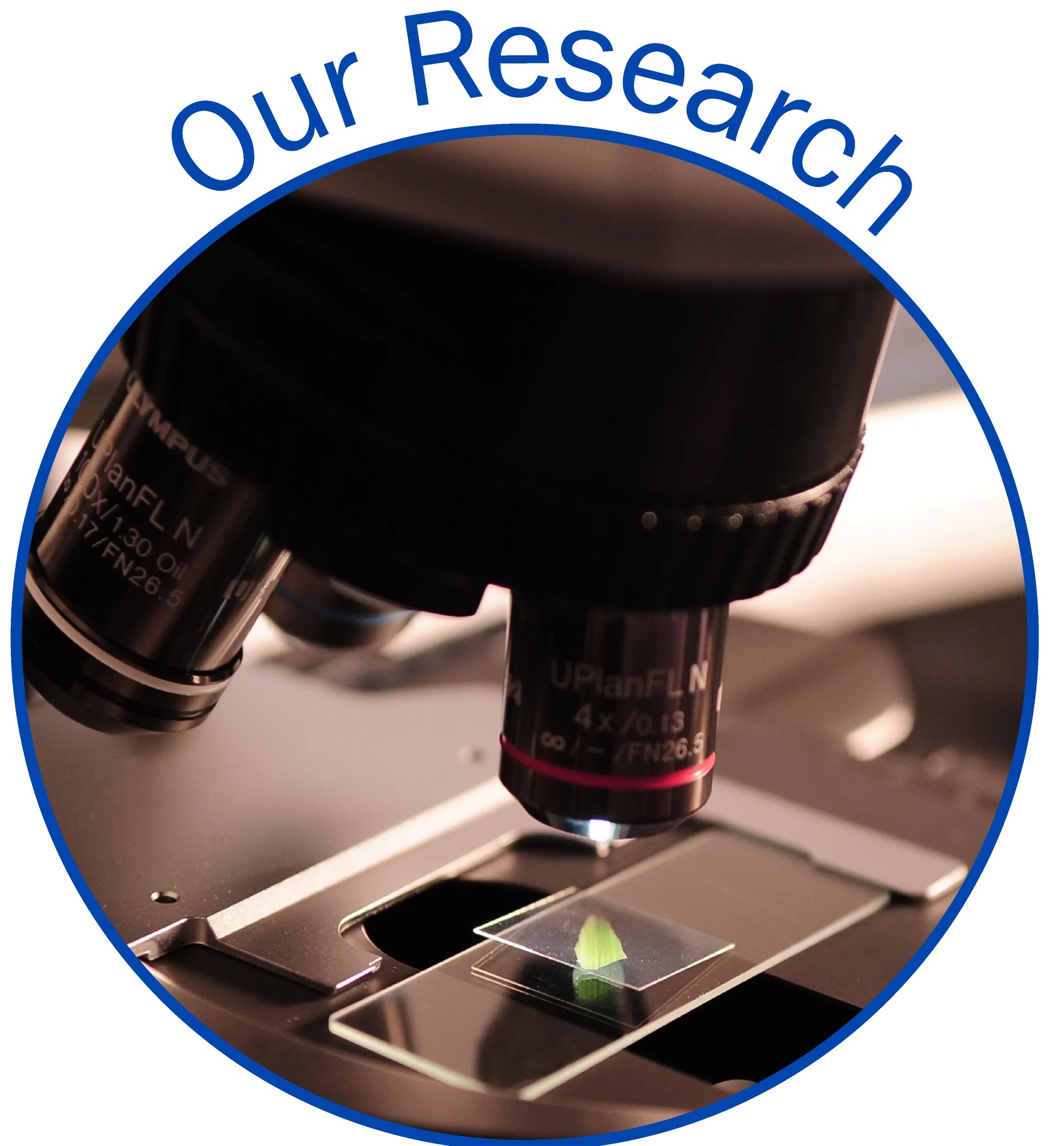 Home - Annie Huang Lab