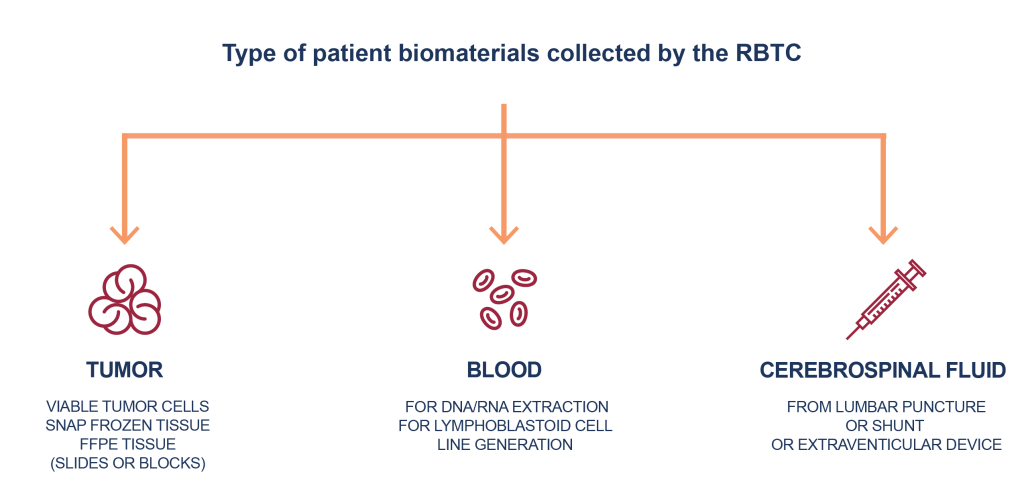 Rare Brain Tumor Consortium (RBTC) | For Doctors & Researchers