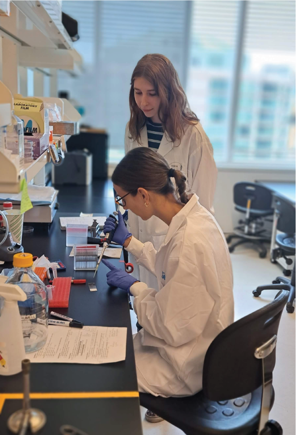 Research | Brumell Lab | SickKids