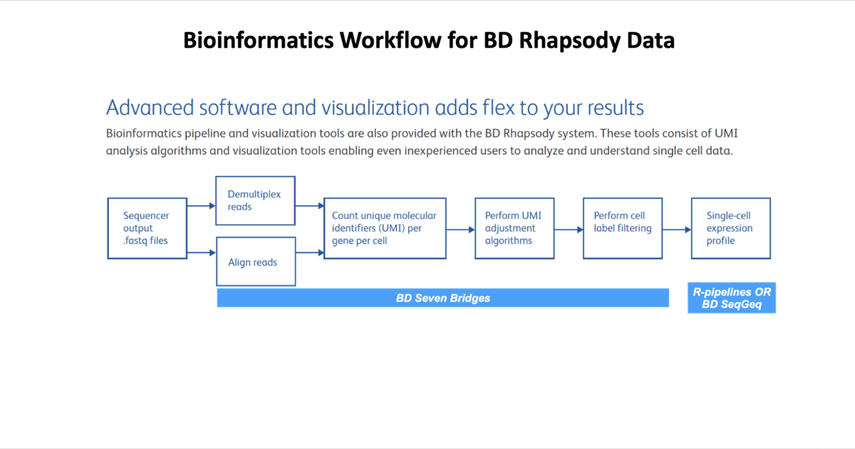 Rhapsody scRNA-seq | CASCA | SickKids