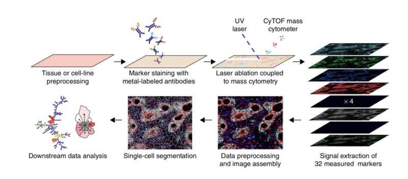 Hyperion Imaging Mass Cytometry | CASCA | SickKids