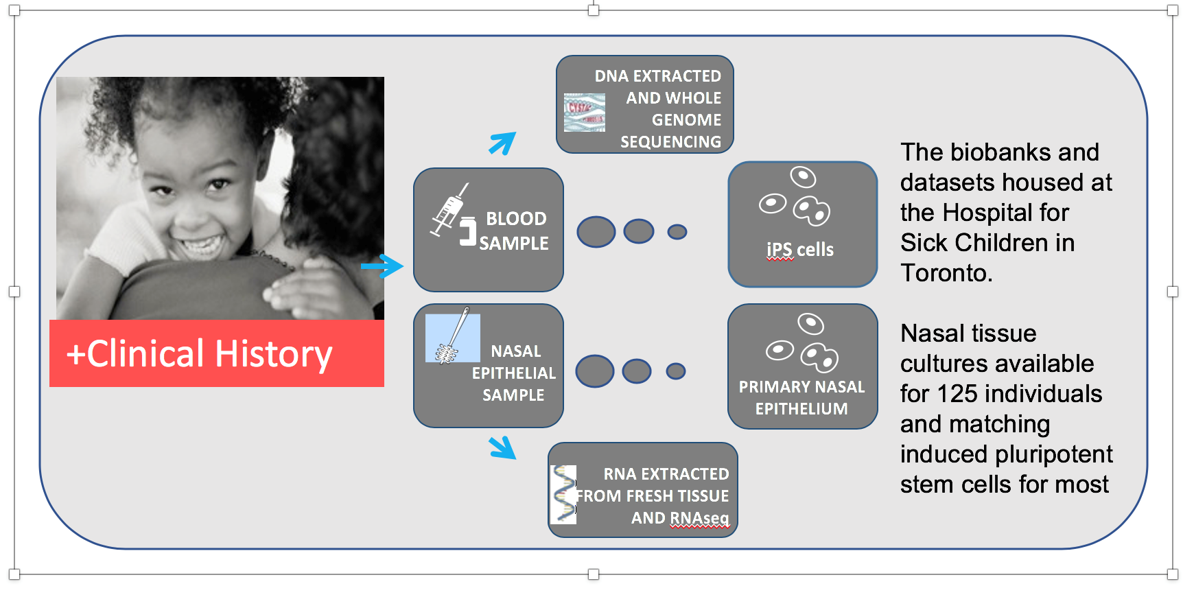 The CFIT Program – Cystic Fibrosis Individualized Therapy Program