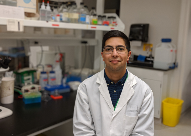Delgado-Olguin Lab | The Heart of the Lab