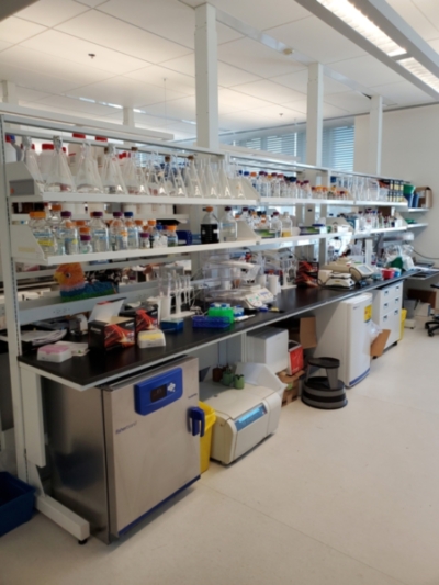 Gallery - Ditlev Lab