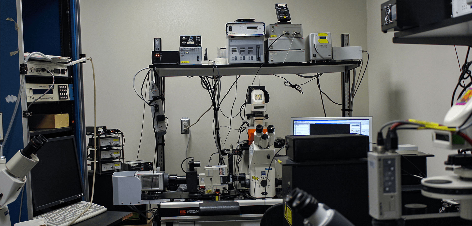 Contact | Spencer Freeman Lab | SickKids