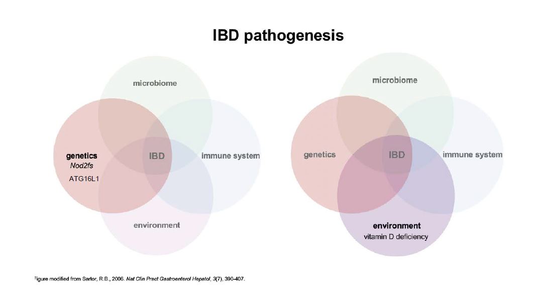 Research | The Jones Lab | SickKids