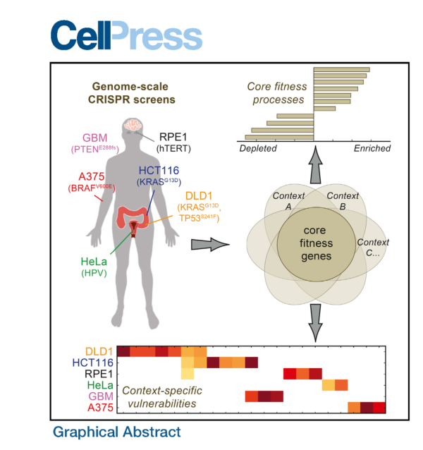 Publications | Moffat Lab | SickKids