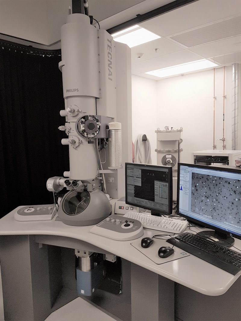 Cellular and Molecular Electron Microscopy | SickKids NBIF