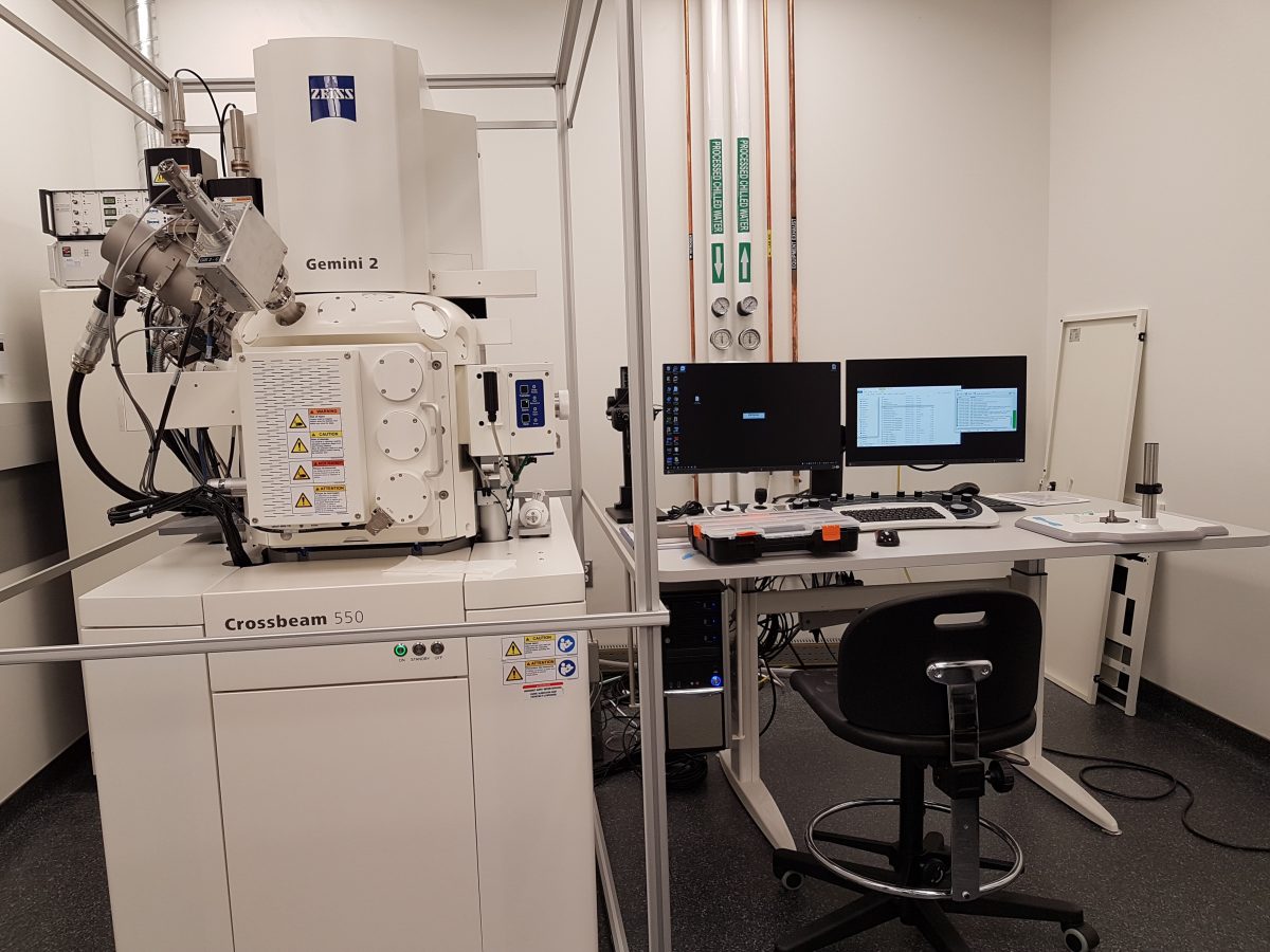 3D Scanning Electron Microscopy | SickKids NBIF