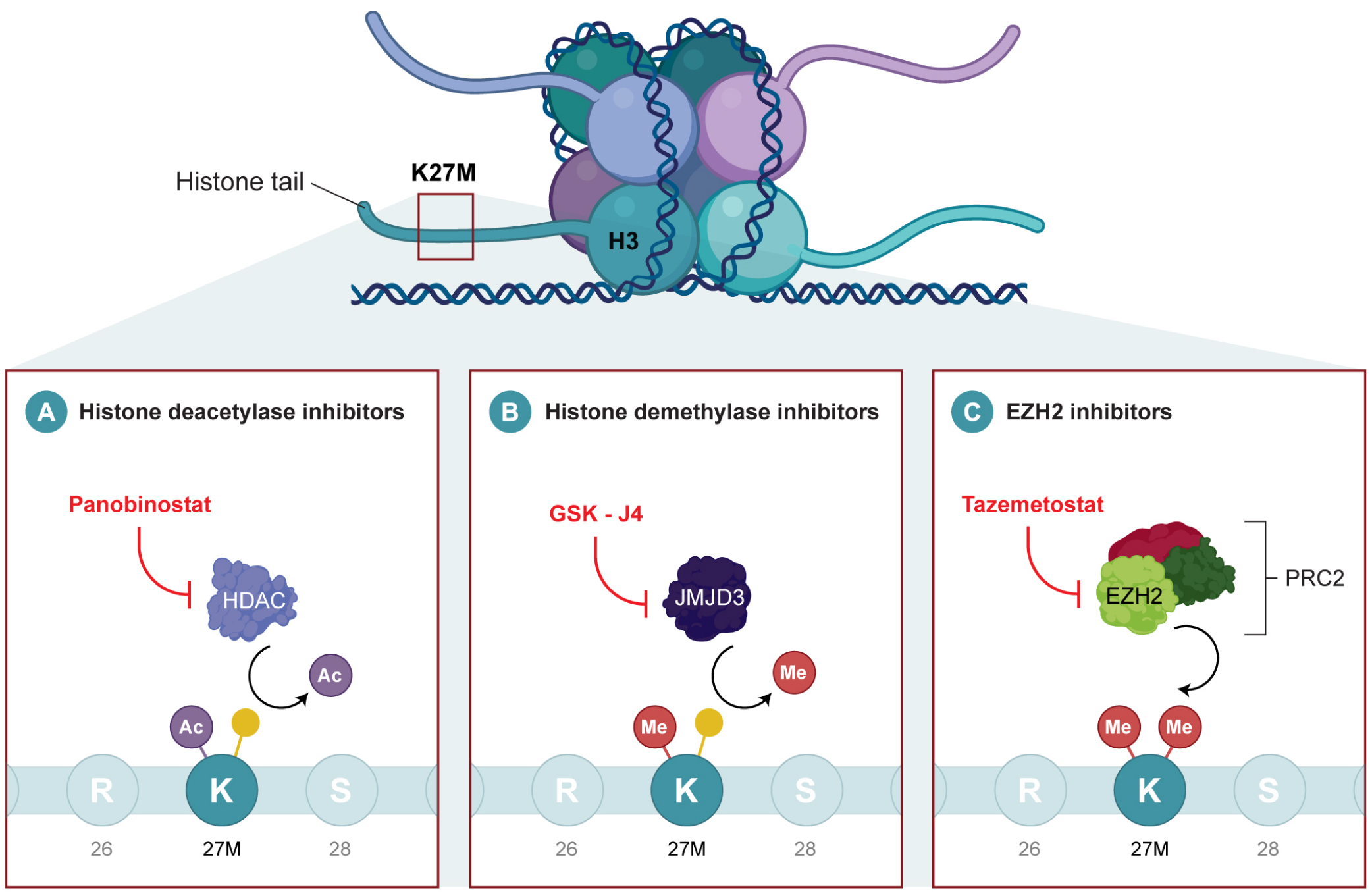 Publications | The Rutka Lab | SickKids