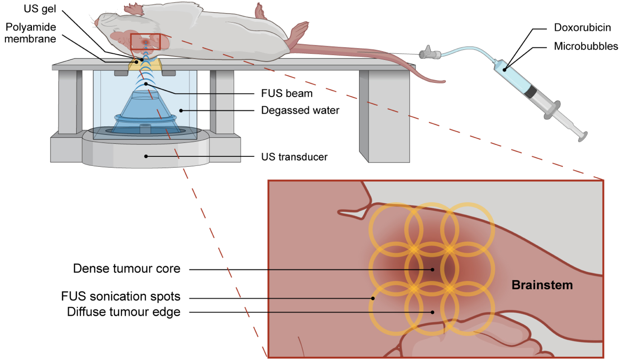 Publications | The Rutka Lab | SickKids