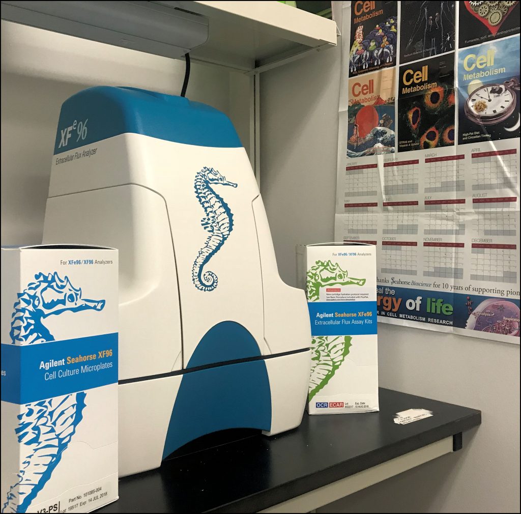 Services – SPARC BioCentre Molecular Analysis