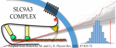 Homepage | Strug Lab | SickKids